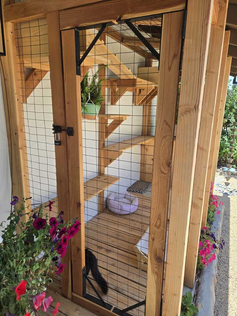 Rod creative mind - San Diego, CA - Nextdoor