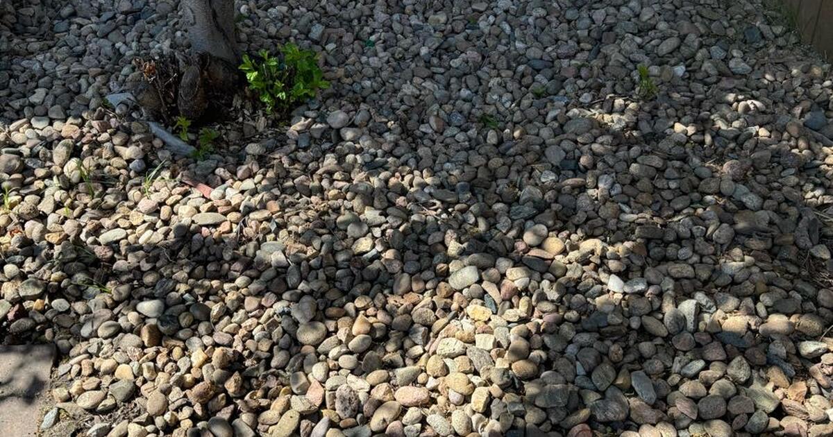 FREE - River Rock Landscaping Rock for Free in Highlands Ranch, CO ...