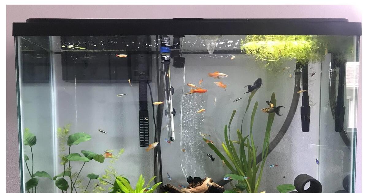 ISO Fish Tank for Free in Kingwood, TX | Finds — Nextdoor