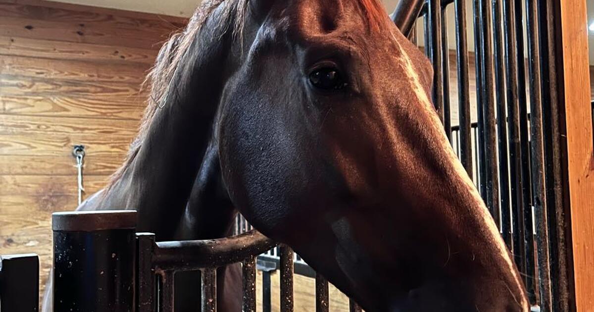 ISO Part Time Barn Help for $150 in Fort Worth, TX | Finds — Nextdoor