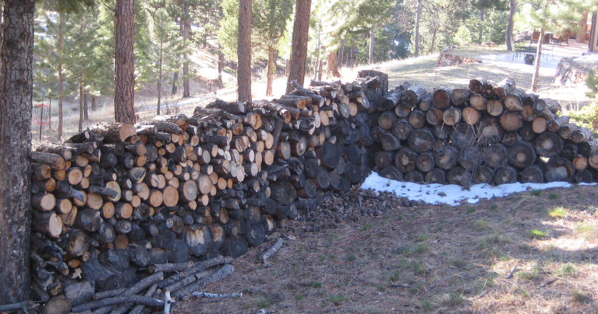 Firewood - About 2 Face Cords for Free in Evergreen, CO | For Sale ...