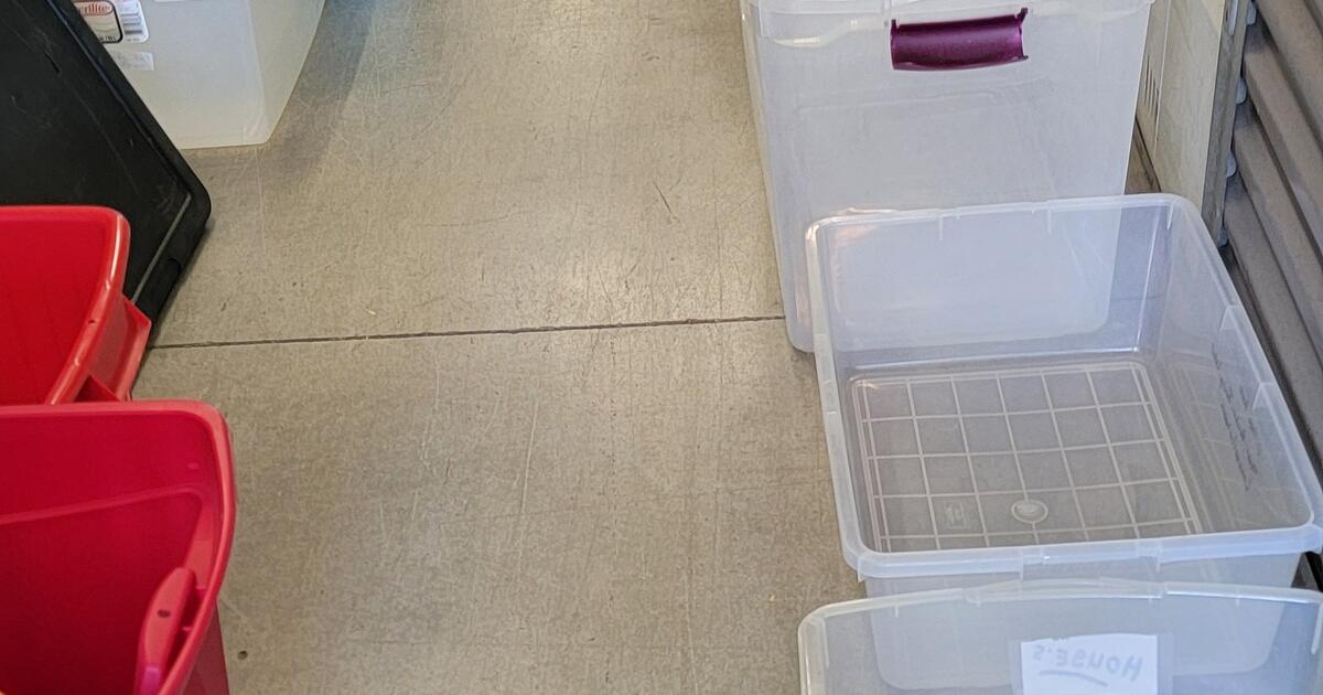 STORAGE BINS. FREE., PLASTIC. WITHOUT LIDS. APPROXIMATY 25 AVAILABLE ...