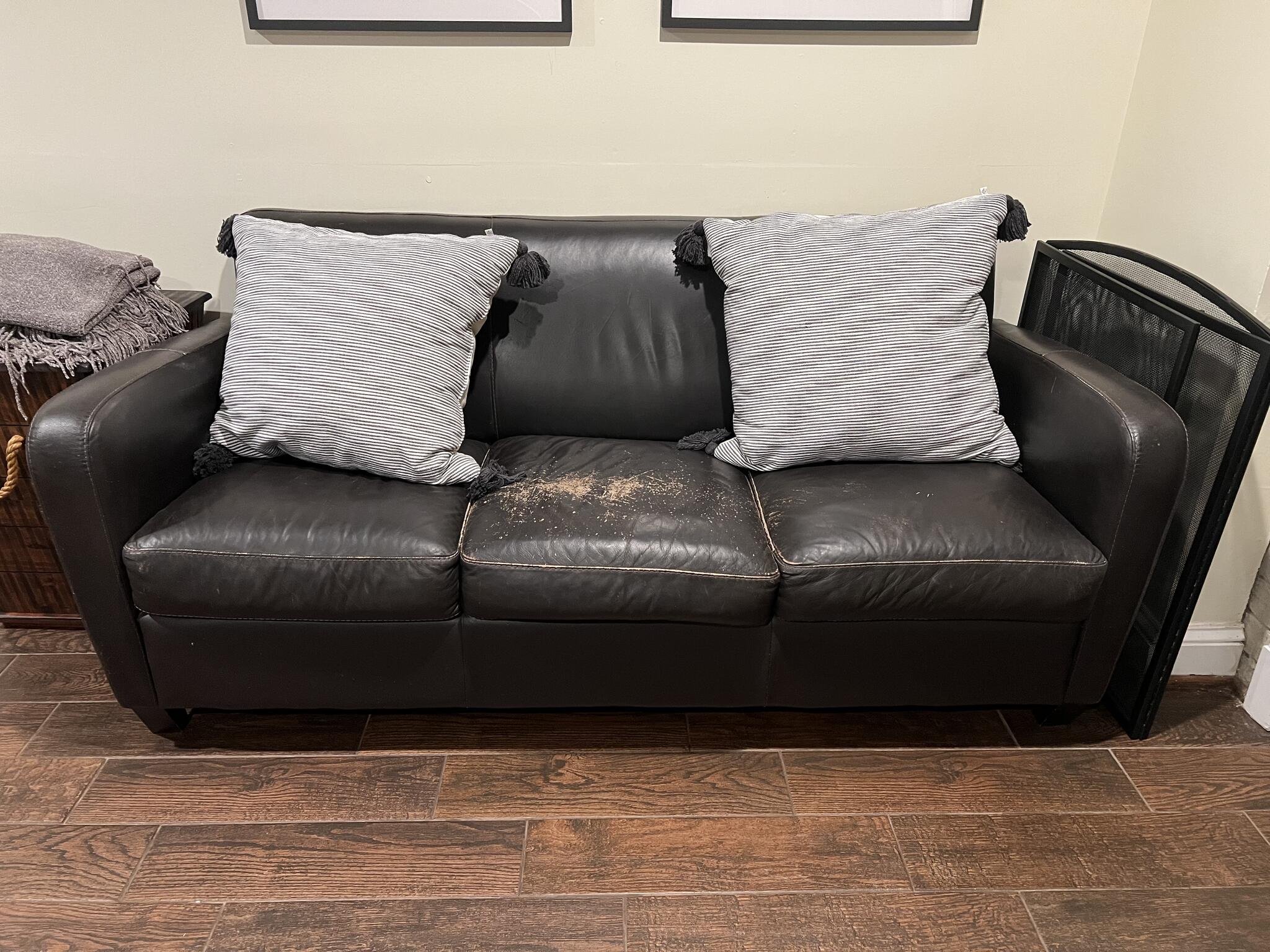 Pier One Sofa Bed | Cabinets Matttroy