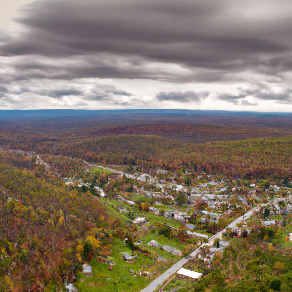 Tillson, Tillson | Everything You Need to Know