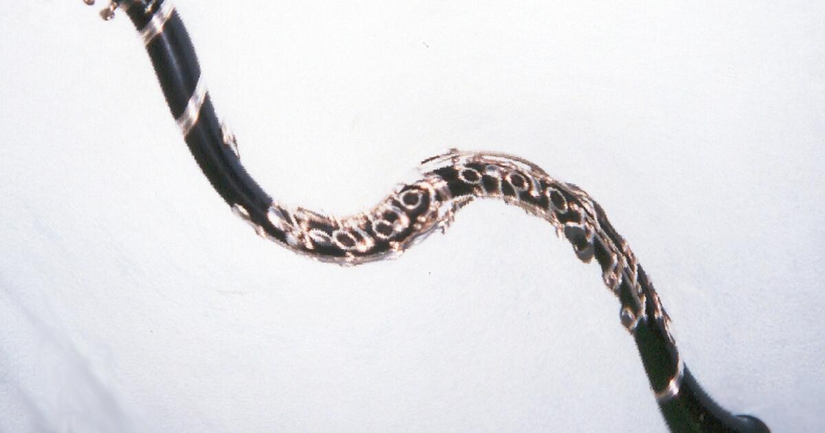 CLARINET REPAIRS-TENON CORKS-PADS 24-48 HOUR TURNAROUND-FREE ESTIMATES ...