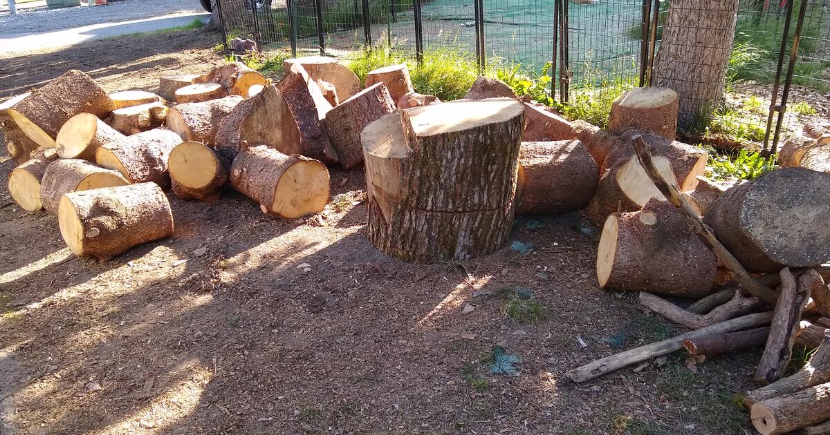 UHaul Freshly Cut Spruce Wood Rounds for Free in Bothell, WA | For Sale ...