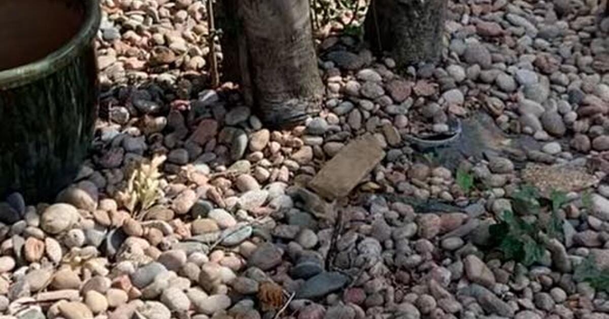 558 sq feet of River Rock for Free in Richardson, TX | For Sale & Free ...