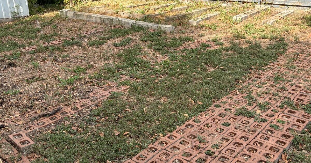 Free Cinder Blocks and Bricks for Free in Taylor, TX | For Sale & Free ...