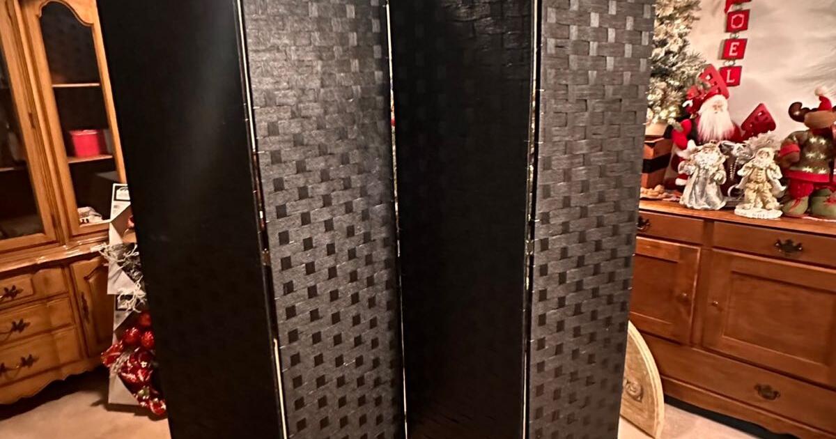 Portable Lightweight 4 Panel Freestanding Indoor Woven Fiber Room ...