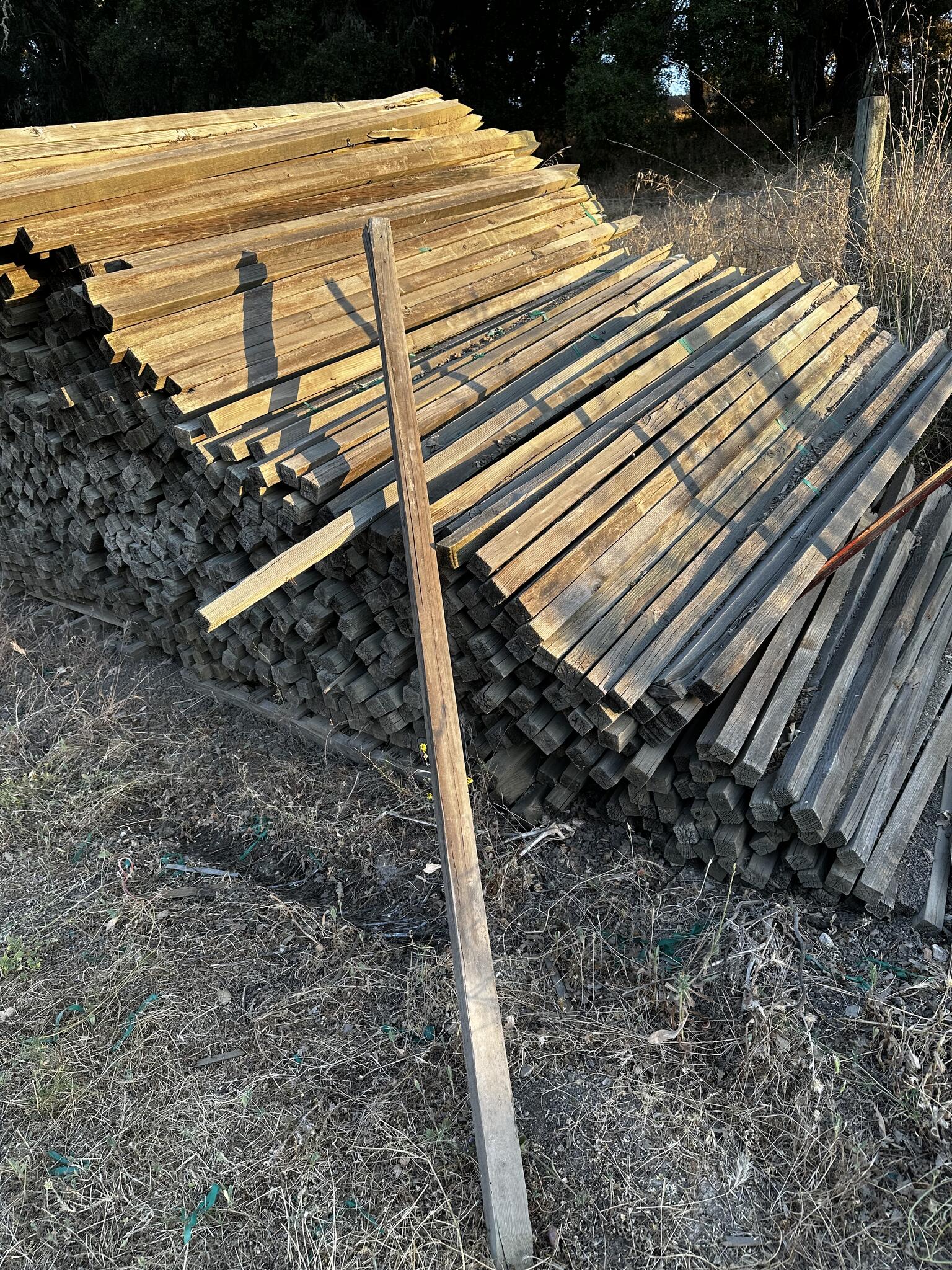 Wood vineyard stakes 6 feet for Free in Paso Robles, CA | For Sale ...