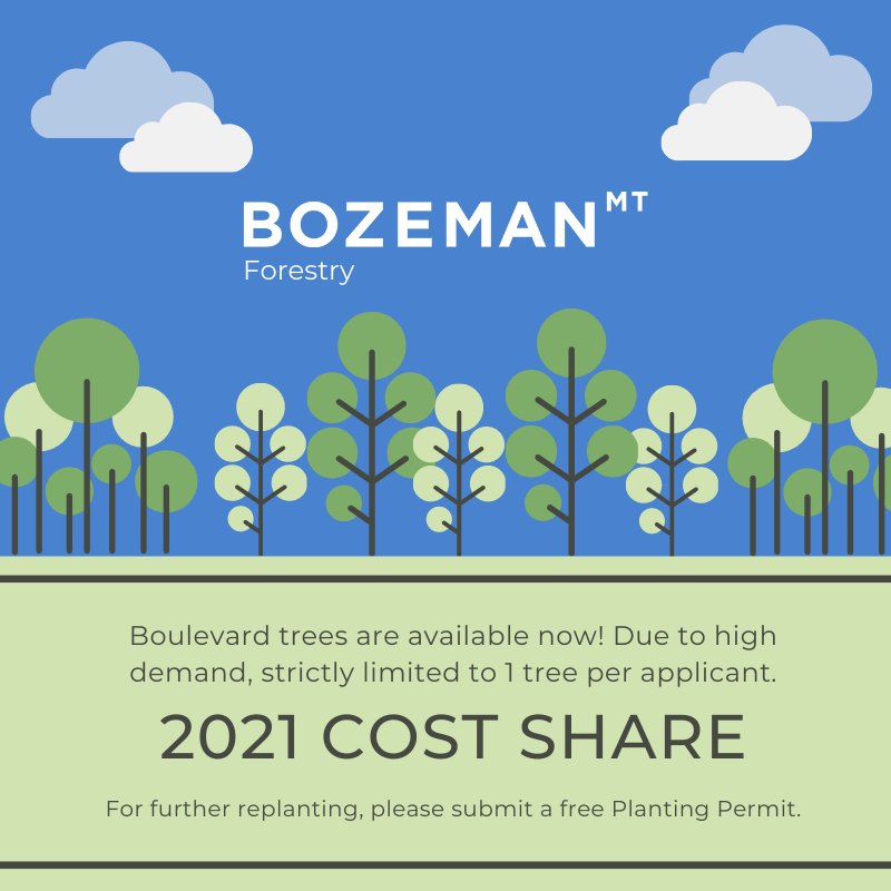 Boulevard Tree Planting (City of Bozeman) — Nextdoor — Nextdoor