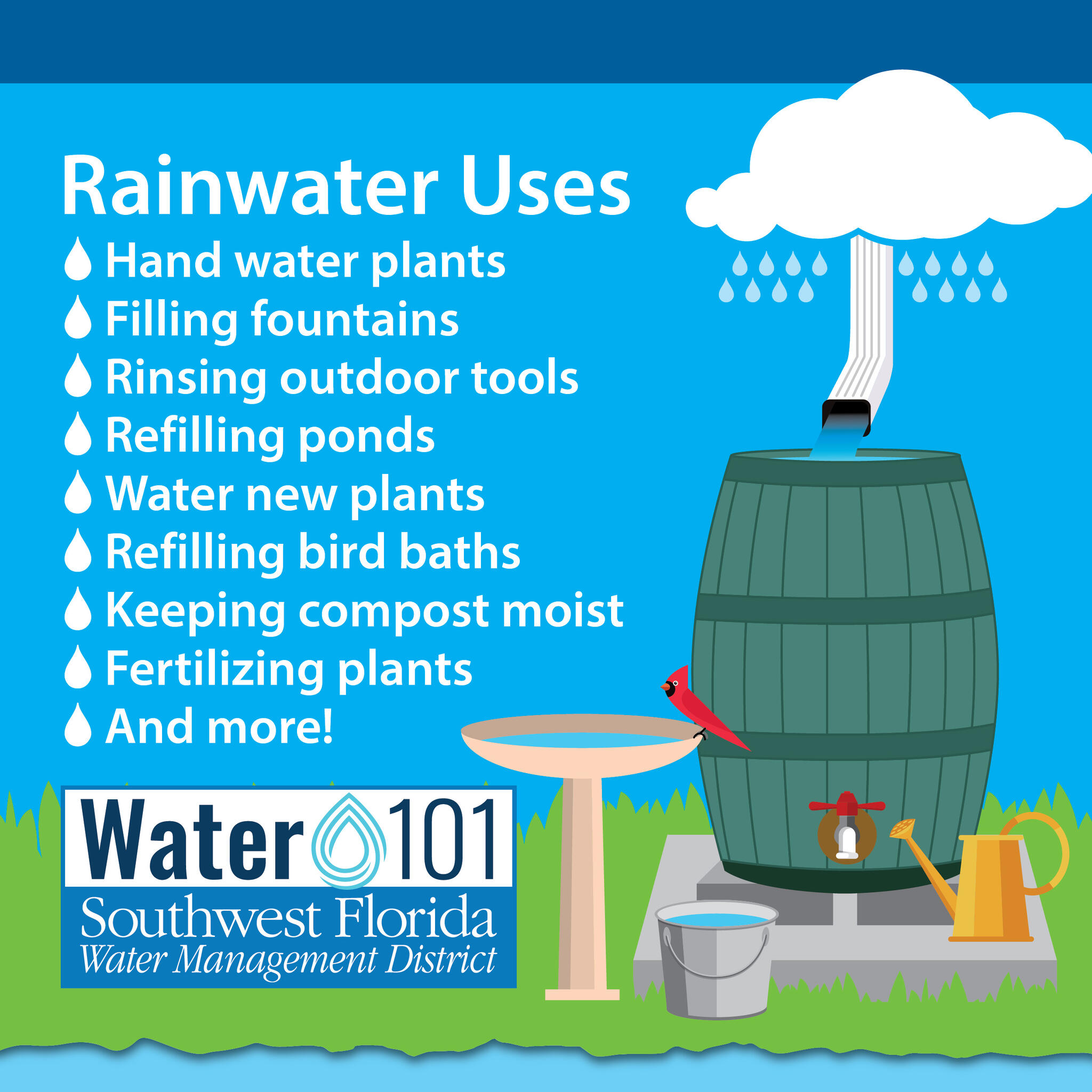 The rainy season is coming. (Southwest Florida Water Management District) — Nextdoor — Nextdoor