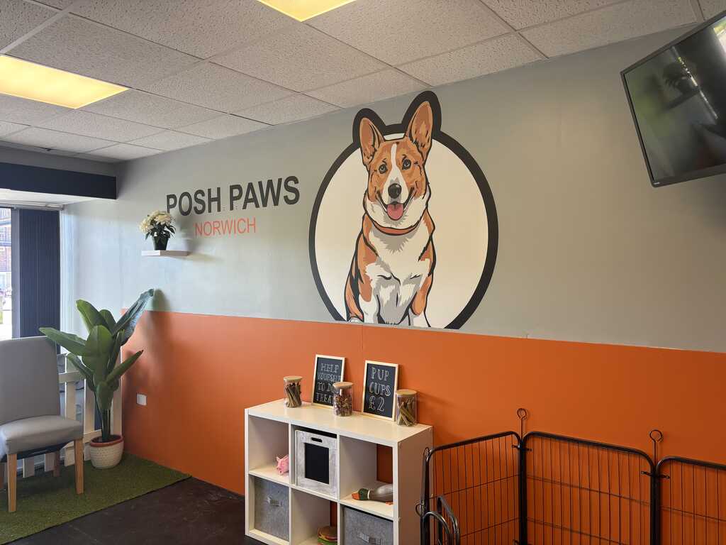 Poshpawsnorwich - Norwich, Norfolk - Nextdoor