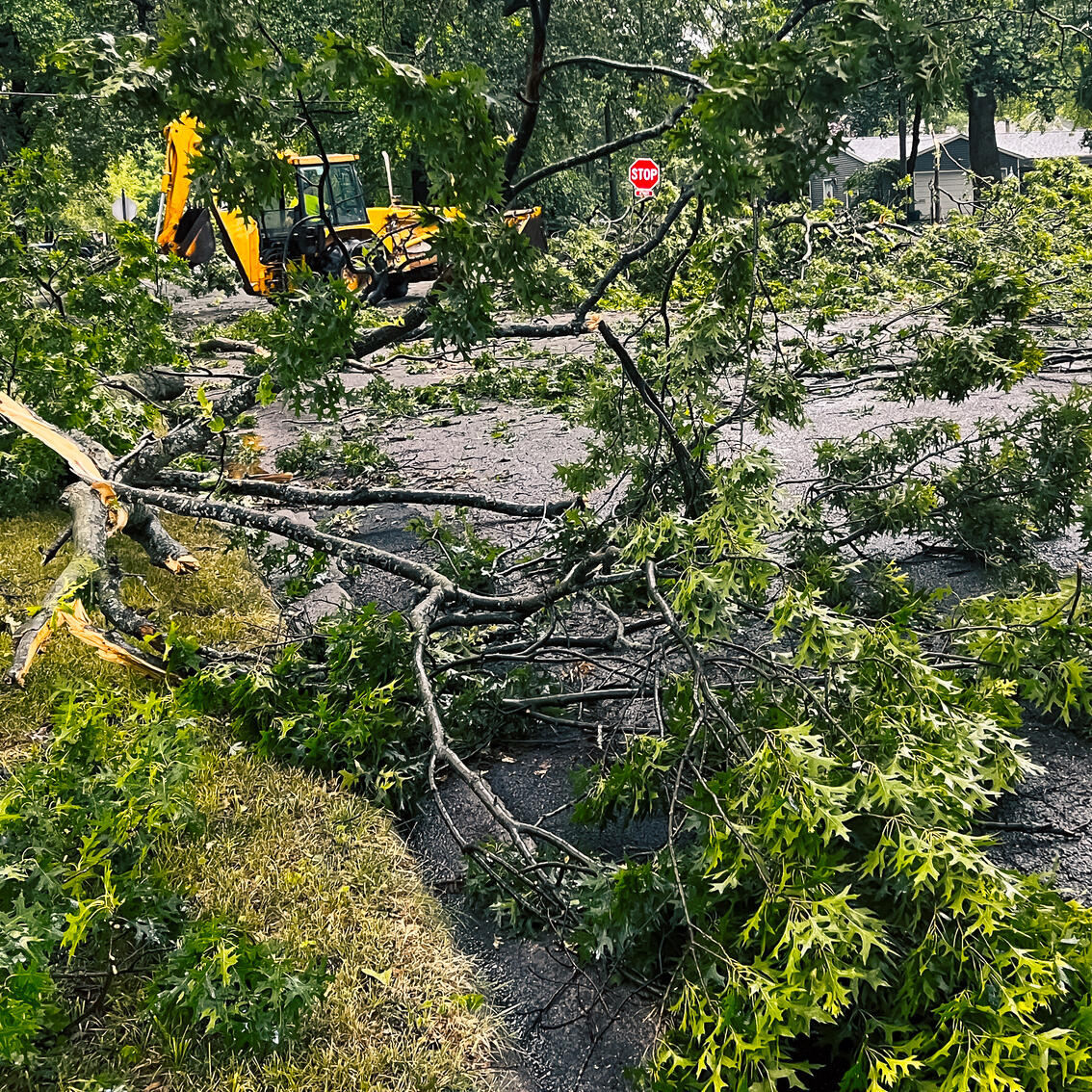 Multiple public works crews are clearing roads and sidewalks of downed ...