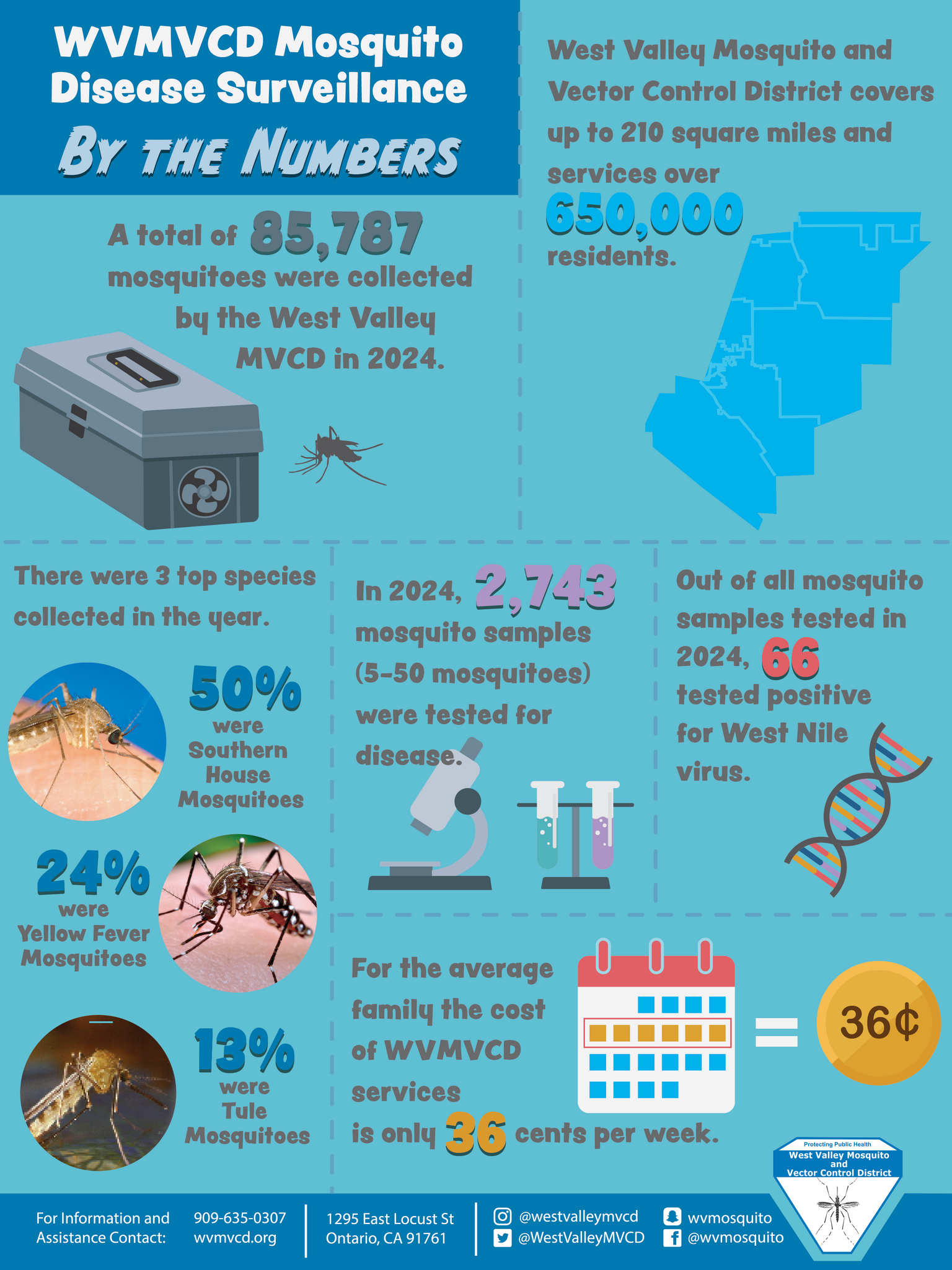 Here is a brief summary of the services provided by the West Valley ...