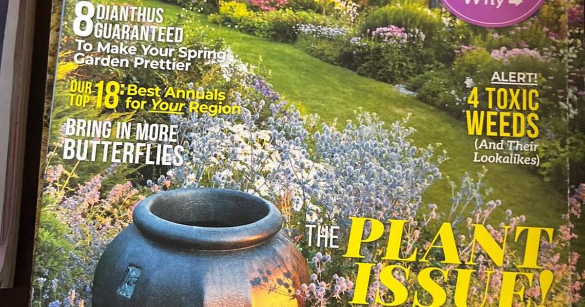 Free magazines for Free in Colorado Springs, CO | For Sale & Free ...