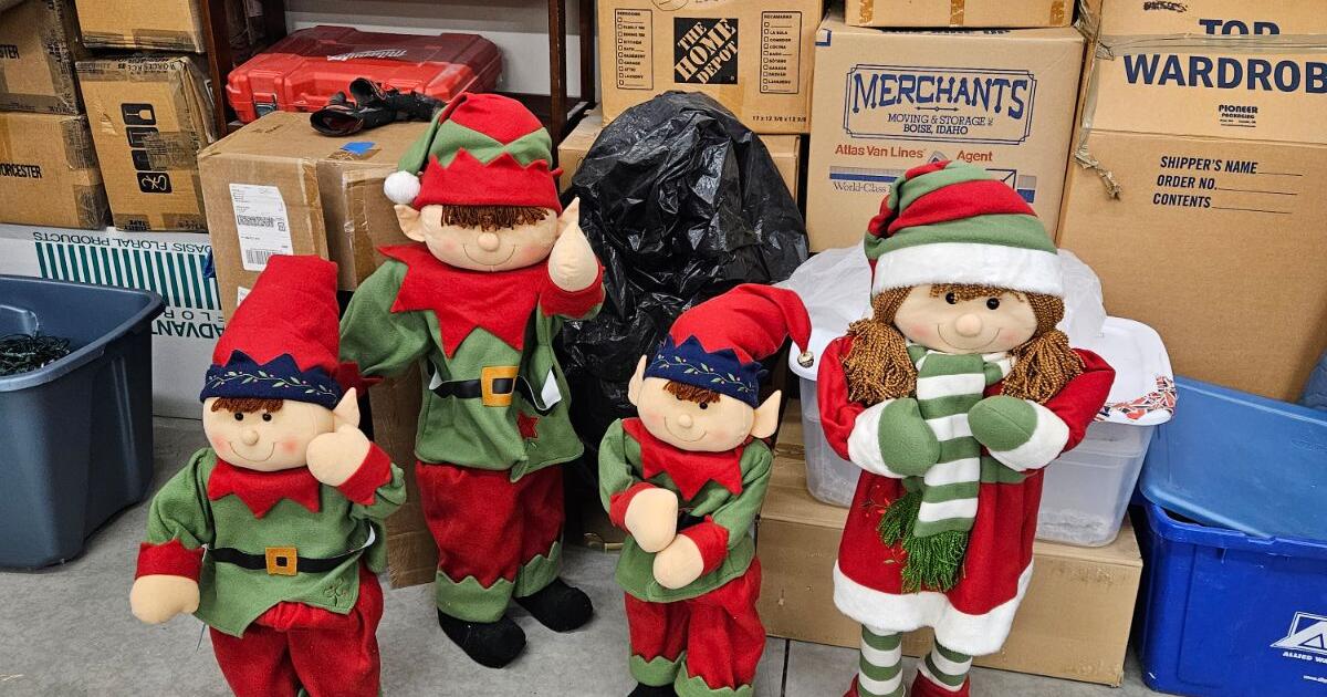Elves for $30 in Meridian, ID | For Sale & Free — Nextdoor