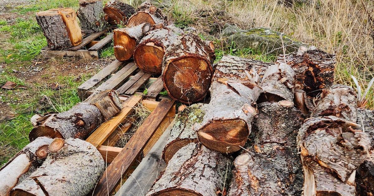 Fire wood for Free in Sequim, WA | For Sale & Free — Nextdoor