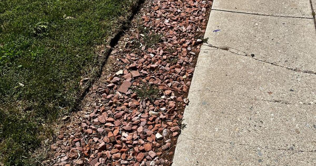 FREE Fill rocks for Free in Wheat Ridge, CO | For Sale & Free — Nextdoor