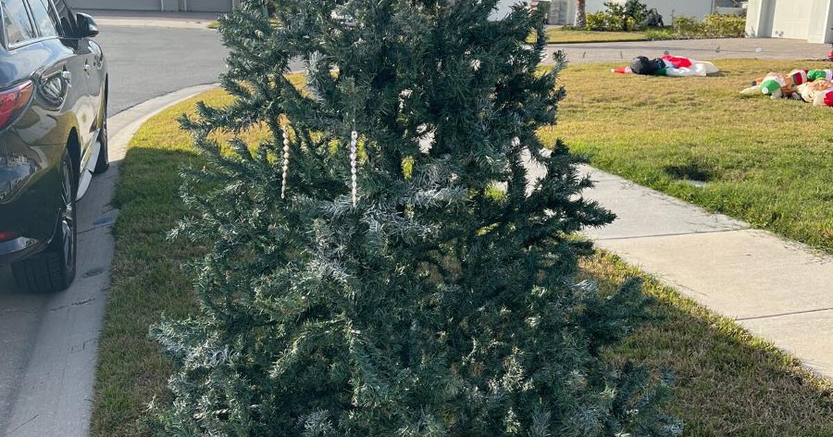 Christmas Tree for Free in Kissimmee, FL | For Sale & Free — Nextdoor