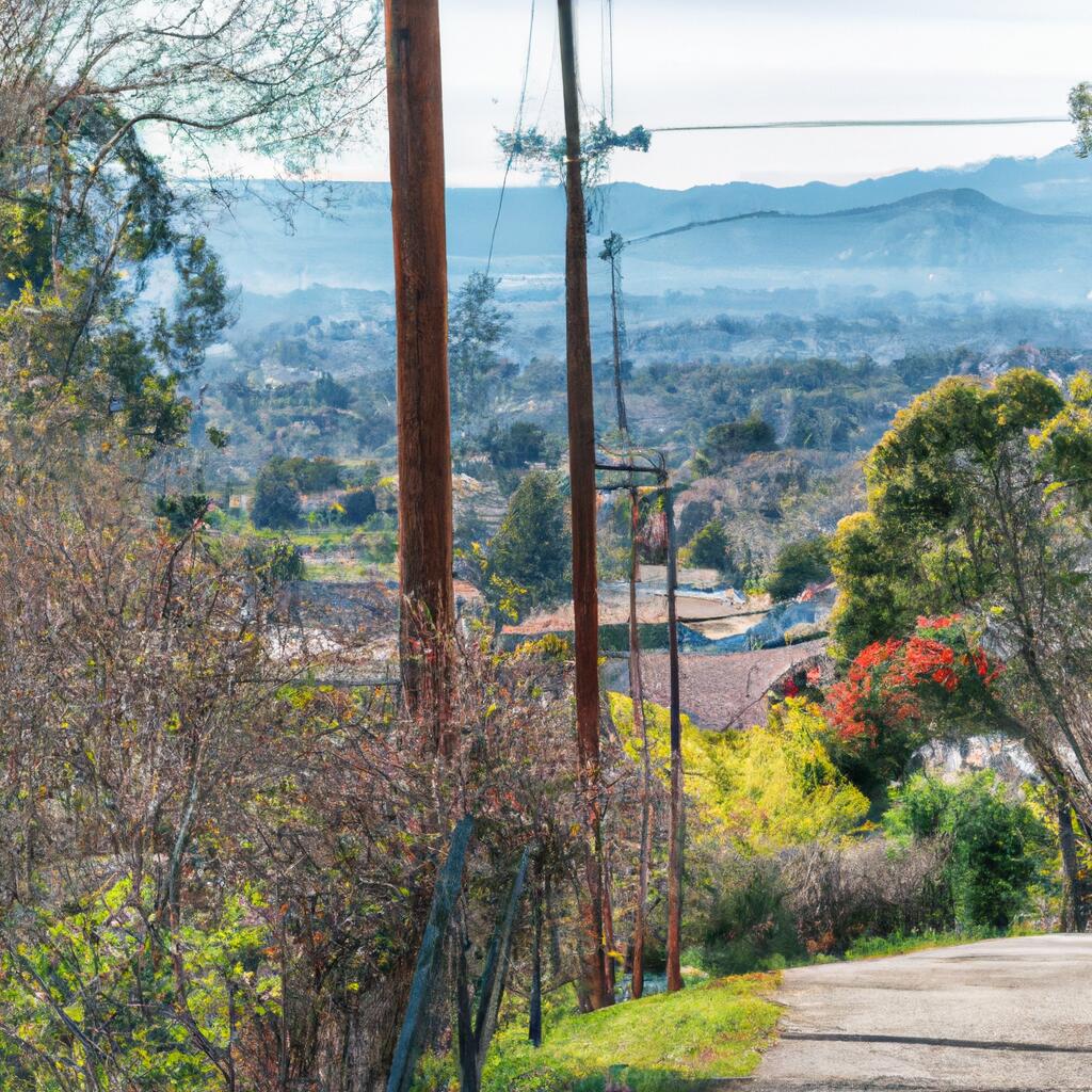 Kent Woodlands, Kentfield | Everything You Need to Know