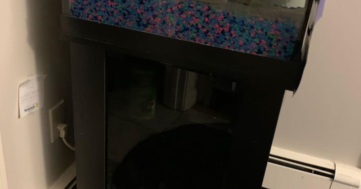 Fish tank, 3 fish, all accessories, pump. for Free in Dover, MA | For ...