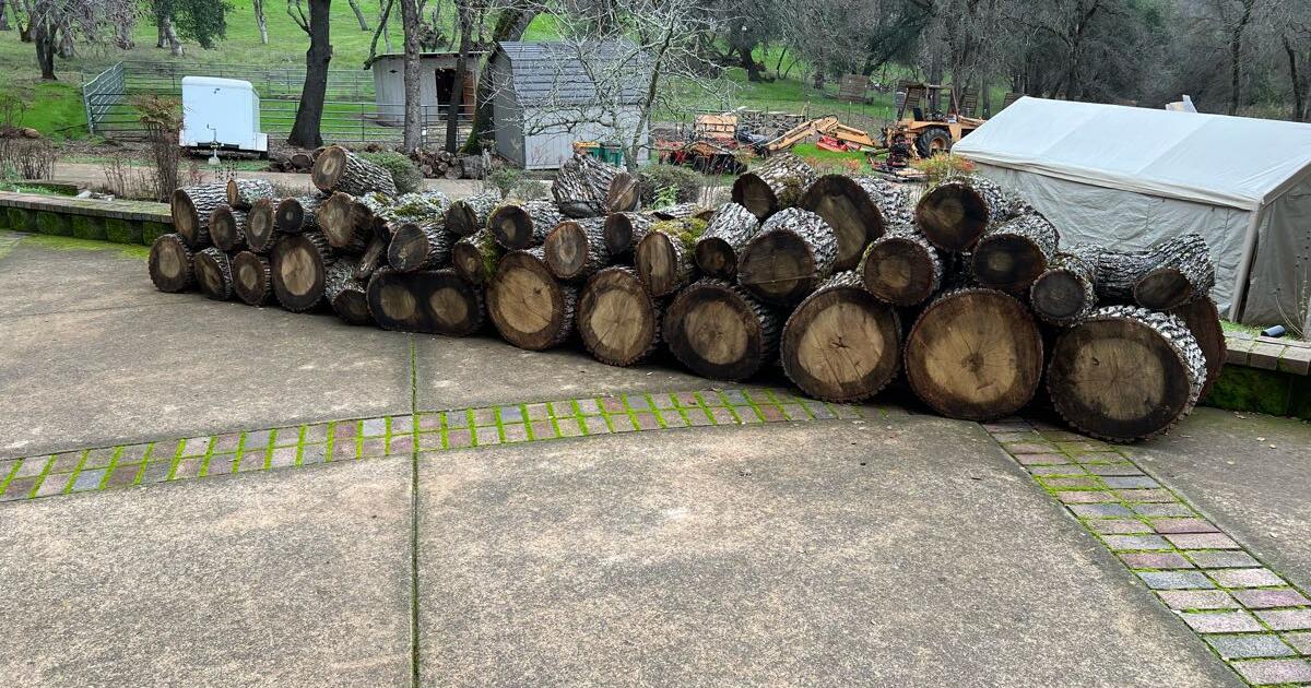 Cut oak rounds for $150 in Cameron Park, CA | For Sale & Free — Nextdoor