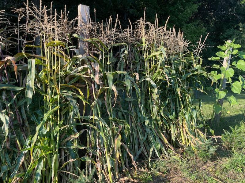 Kellner, Wisconsin Rapids | Everything You Need to Know