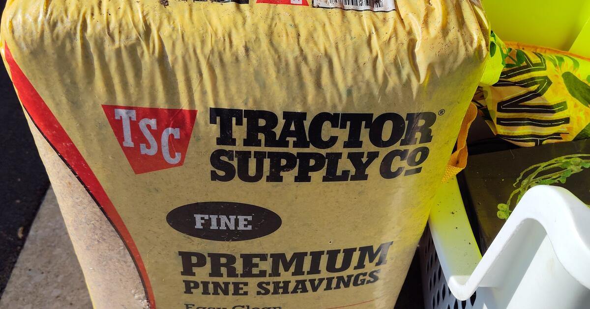 Premium Fine Pine Shavings for $10 in Galloway, OH | For Sale & Free ...