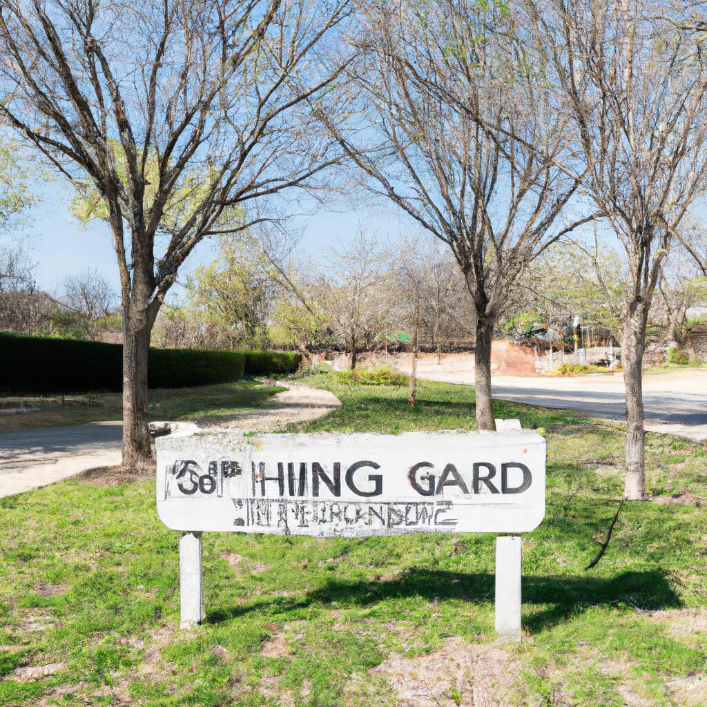 Kidd Springs, Dallas | Everything You Need to Know