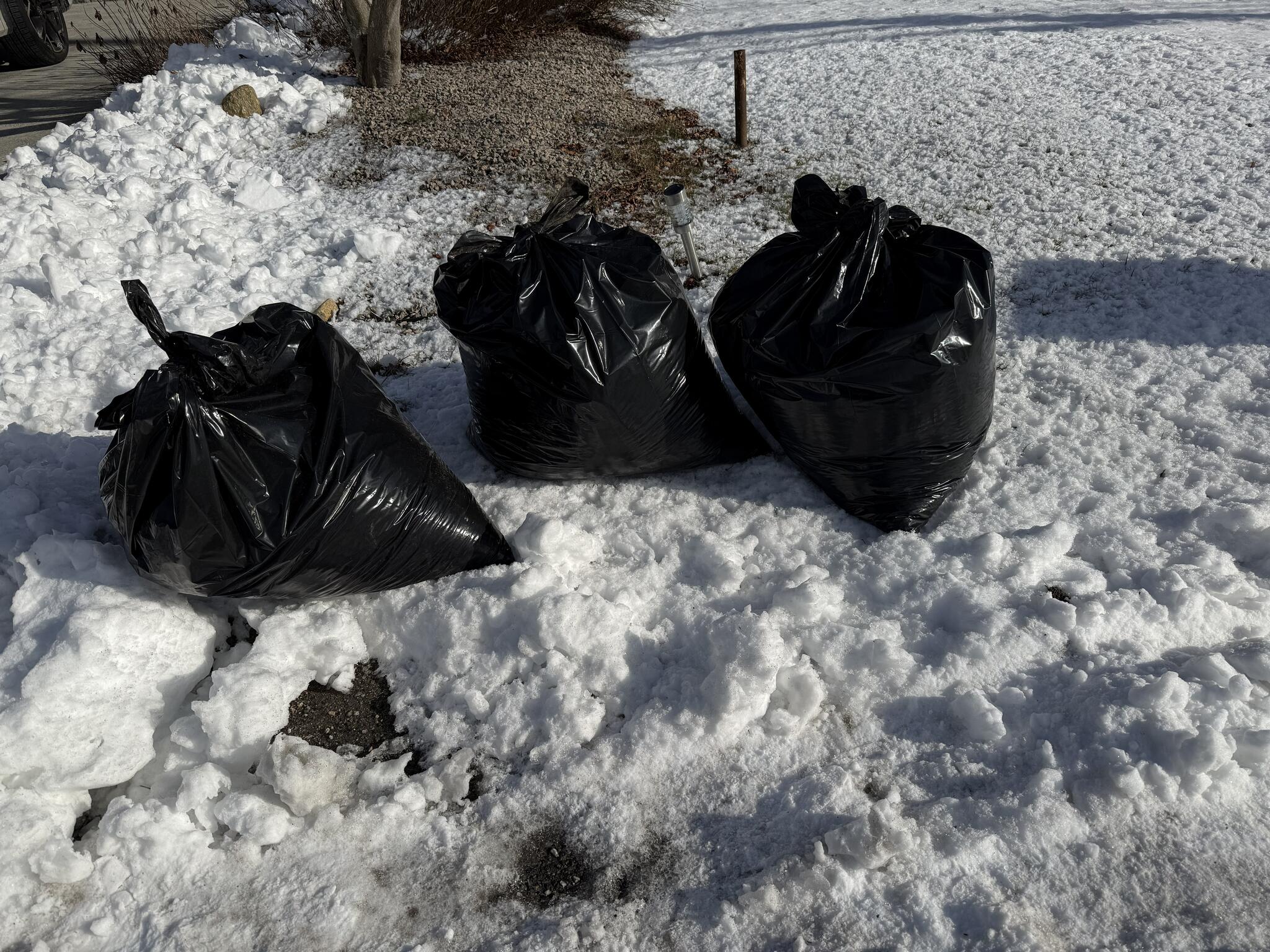 CURB ALERT...FREE WOOD CHIPS for Free in Charlestown, RI | For Sale ...