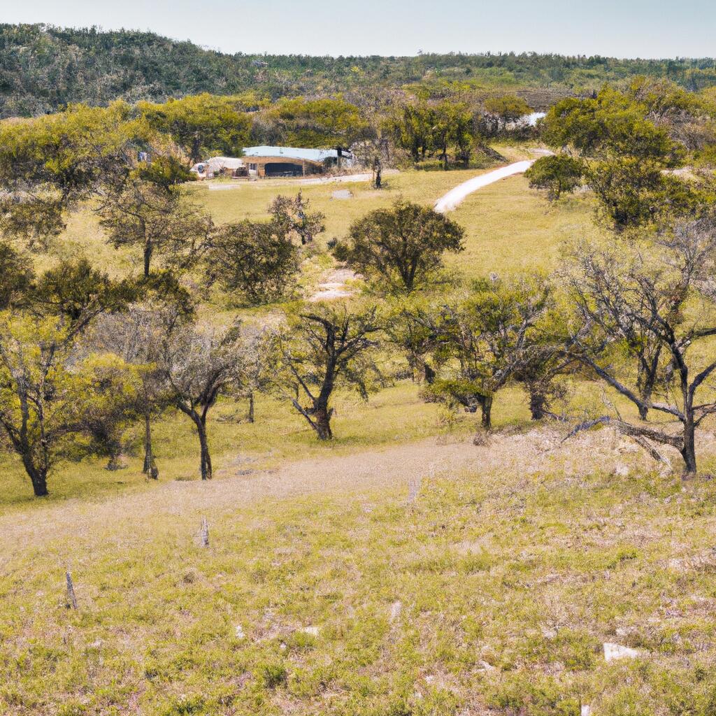 Bandera River Ranch, Bandera | Everything You Need to Know