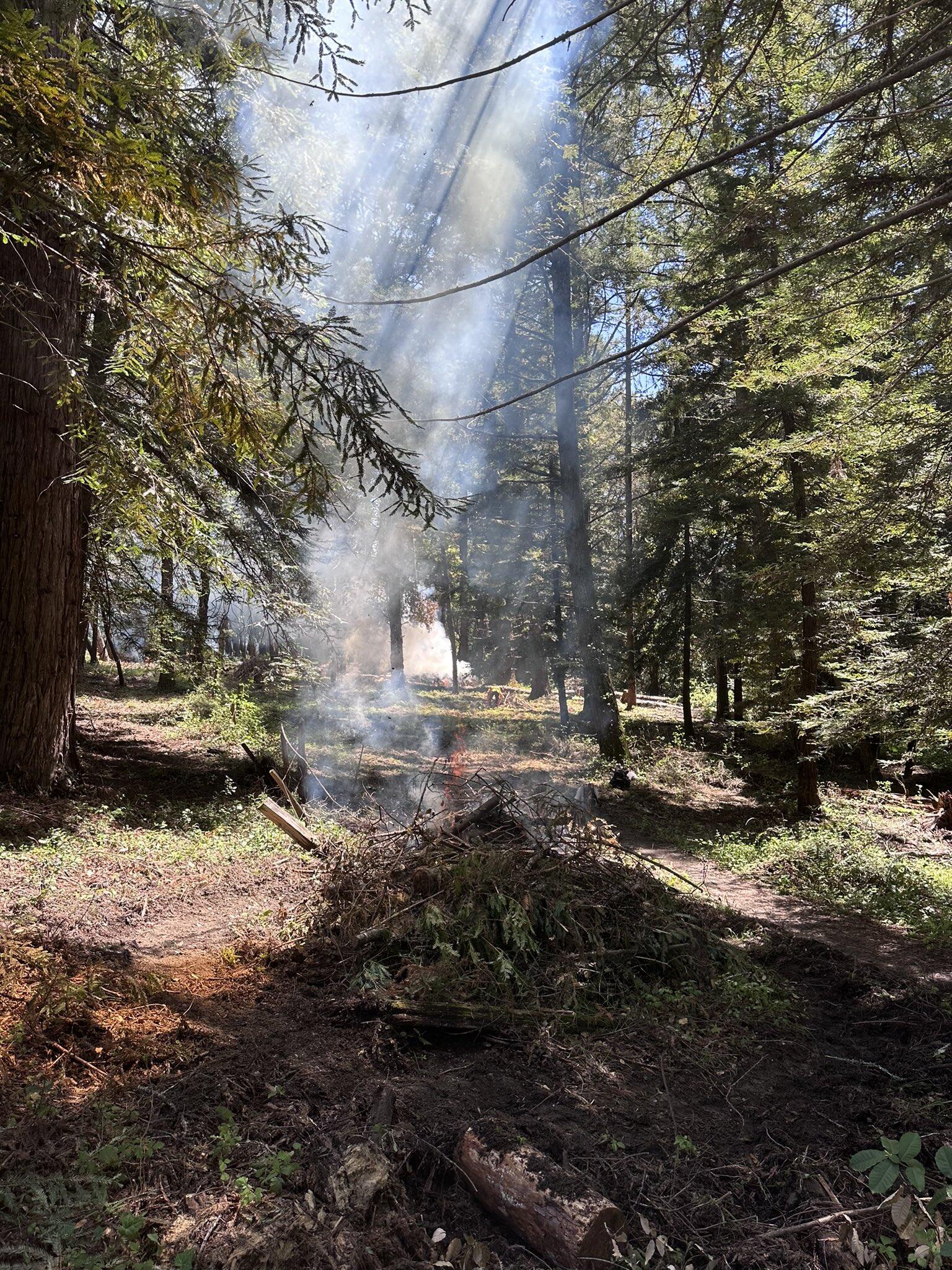 Lower Empire Grade Shaded Fuel Break Pile Burn UPDATE: (CAL FIRE ...