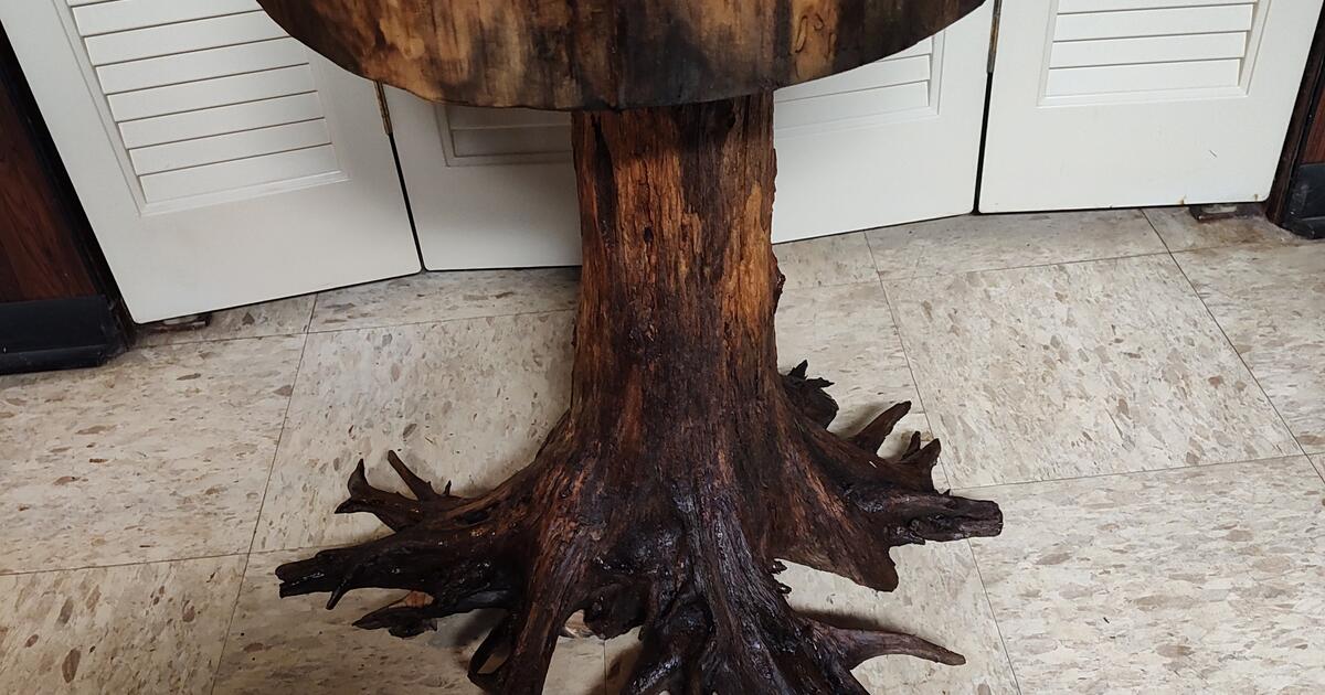 Rustic Tree Stump Table for $120 in Orchard Park, NY | For Sale & Free ...