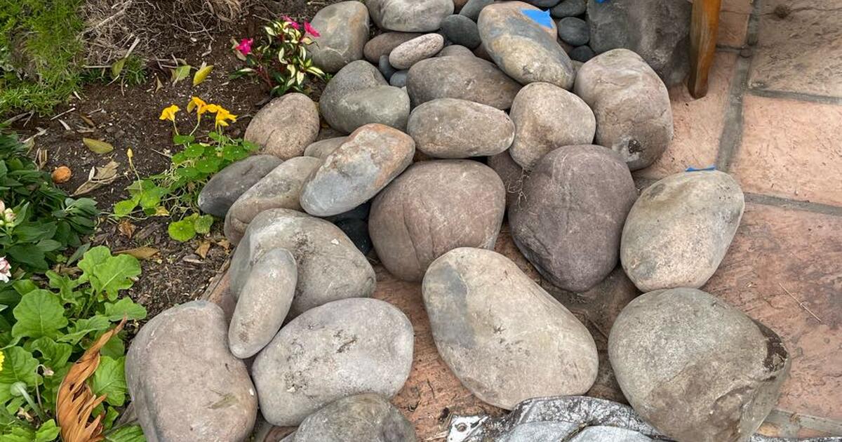Rocks for Free in Los Alamitos, CA | For Sale & Free — Nextdoor