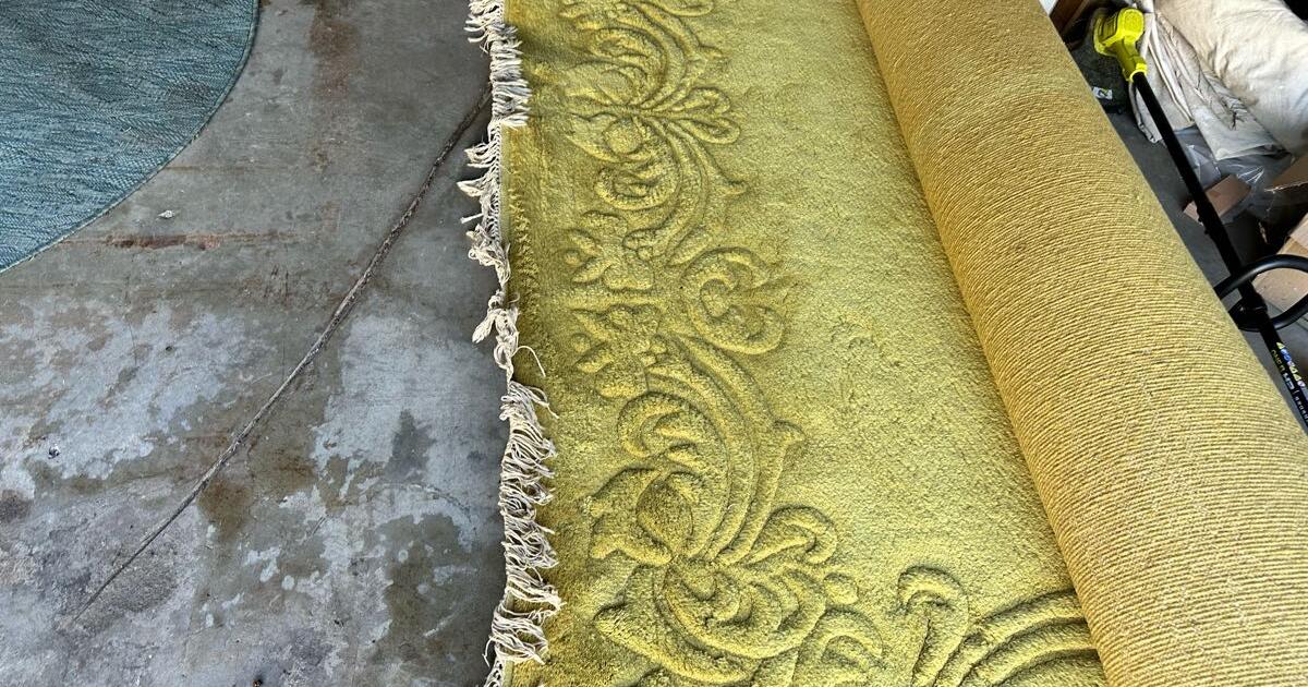 Huge FREE 11 x 18 rug - perfect for your large room or basement for ...