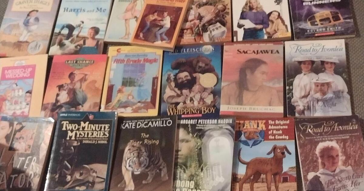 Lot of 20 Chapter Books for Youth Early Reader Young Adults Children ...