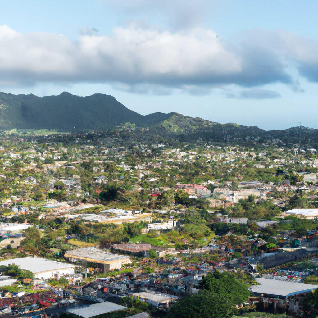 Newtown, Aiea | Everything You Need to Know