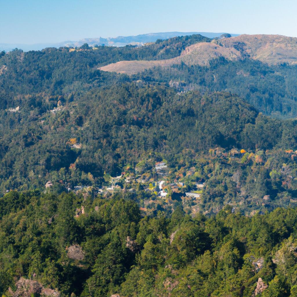 Tamalpais Valley, Mill Valley | Everything You Need to Know