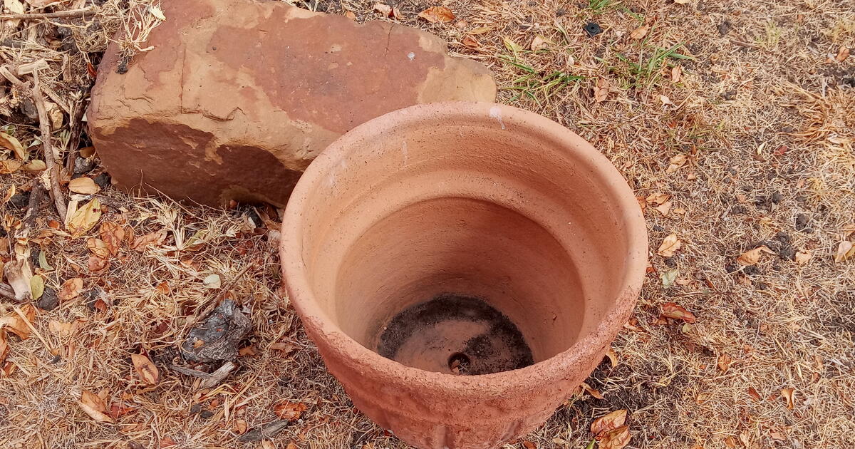 FREE 2 LARGE LANDSCAPE ROCKS & VERY LARGE TERRACOTTA POT for Free in ...
