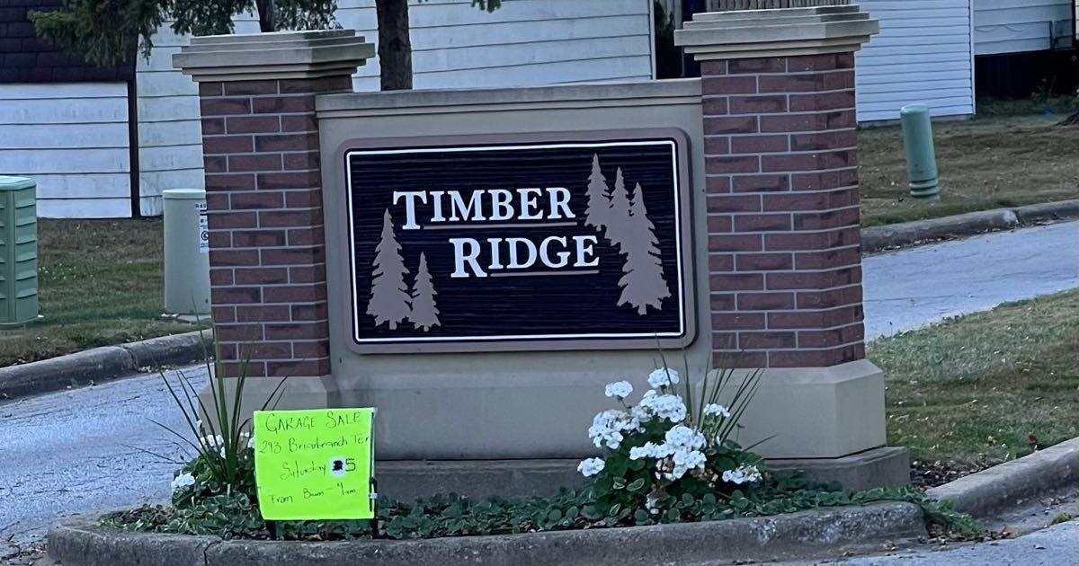 🛑🛑Garage Sale at Timber Ridge 🛑🛑 for $4 in Matteson, IL | For Sale ...