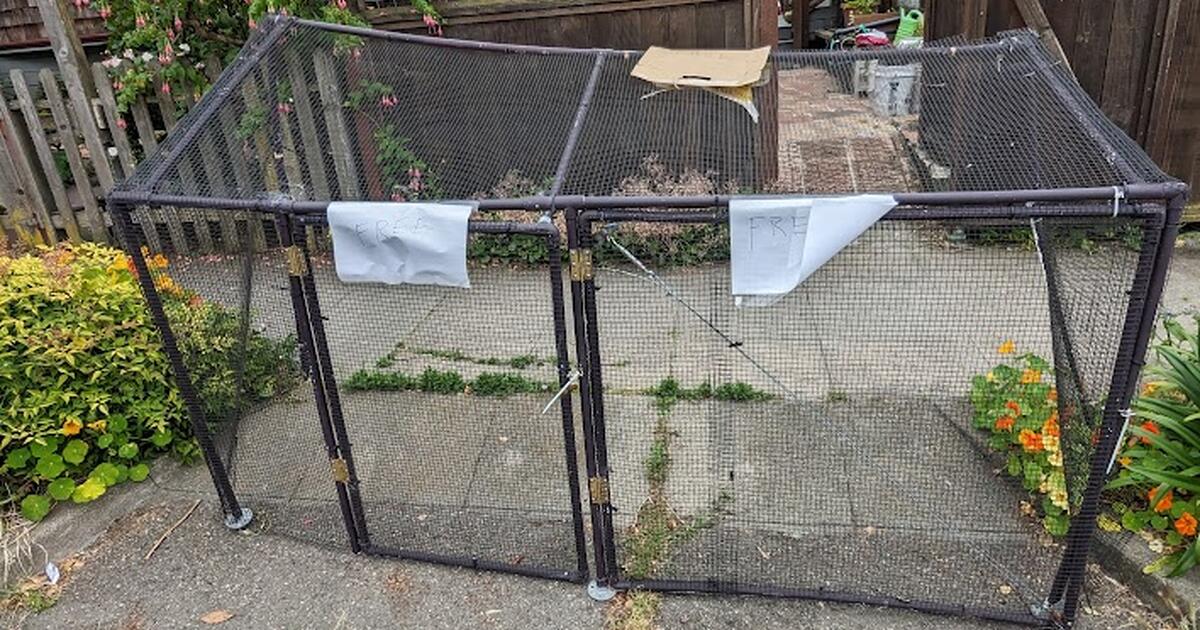 Free Screening & cage pieces for gardening at curb for pickup for Free ...