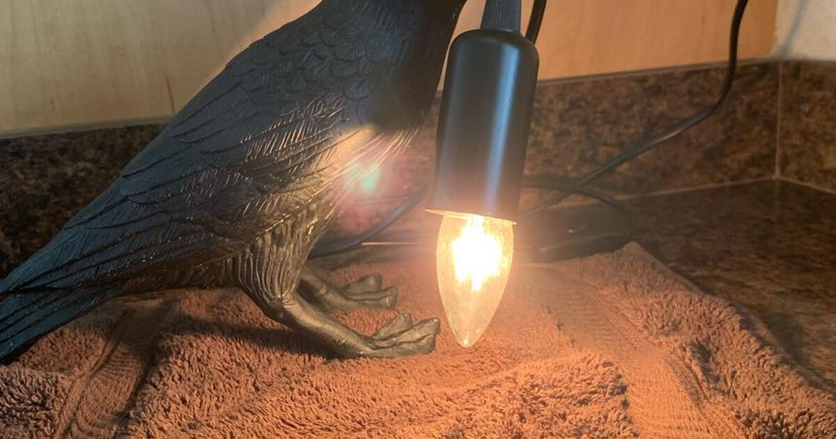 Crow light for $15 in Punta Gorda, FL | For Sale & Free — Nextdoor