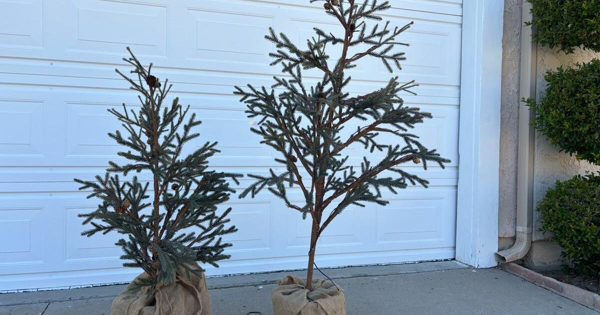 Lit Pottery Barn Christmas trees for $100 in Oak Park, CA | For Sale ...