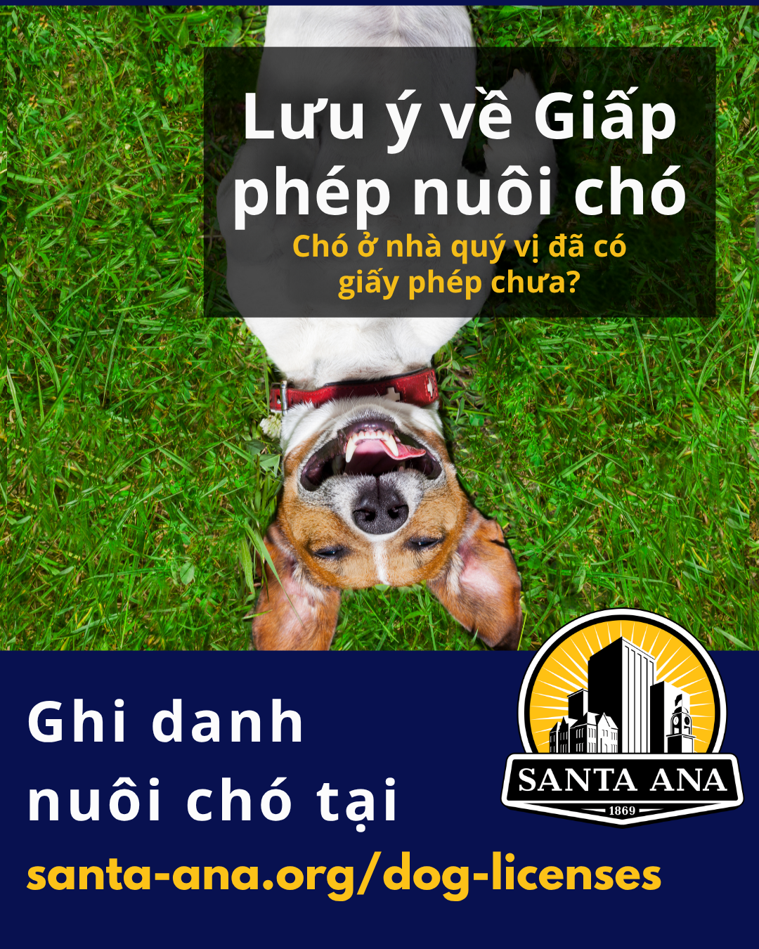 Reminder for Santa Ana pet owners: it’s now easier than ever to obtain ...