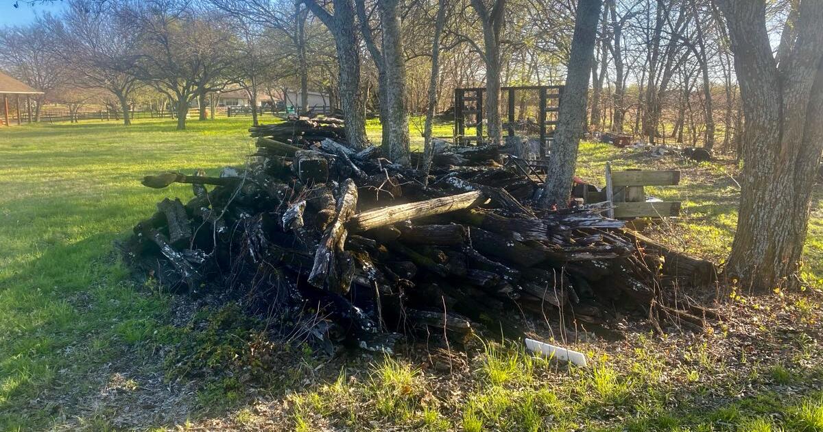 Bois d’ arc fence posts for Free in Rockwall, TX | For Sale & Free ...