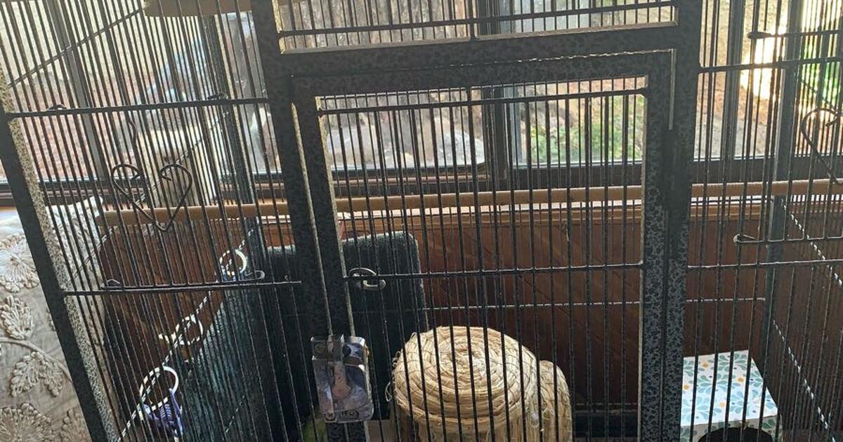 Powder coated bird cages free for Free in Henderson, NV | For Sale ...