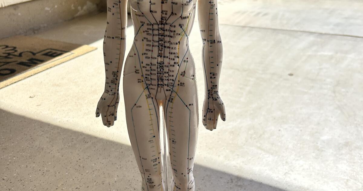 Like New Acupuncture/Meridian Point Model - 50% OFF RETAIL! - $20 for ...