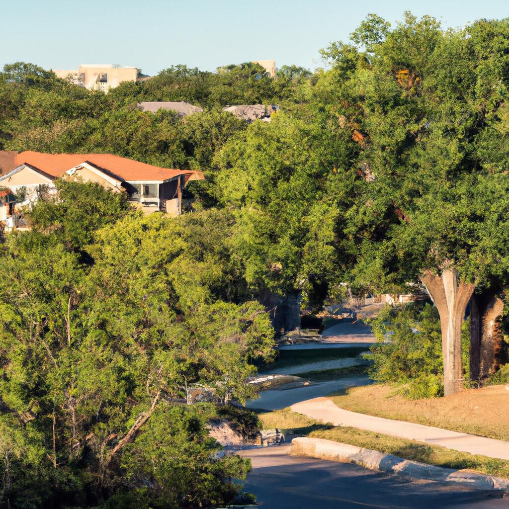 Forest Bluff, Austin | Everything You Need to Know