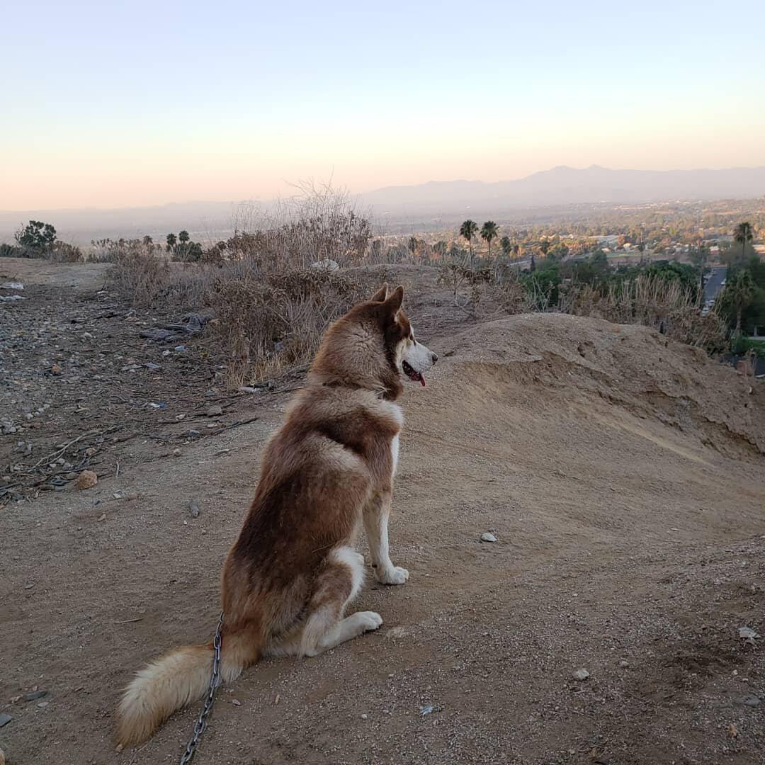 Dakota for Free in Hemet, CA | For Sale & Free — Nextdoor